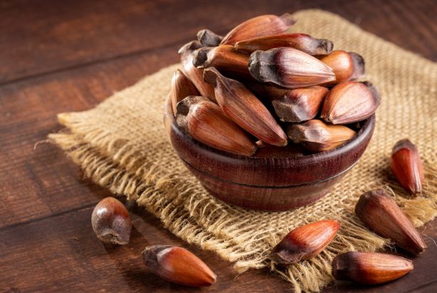 Pinhão: benefícios e ideias de receitas